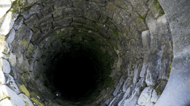 The Prognosticators by Matthew Burnside – Okay Donkey