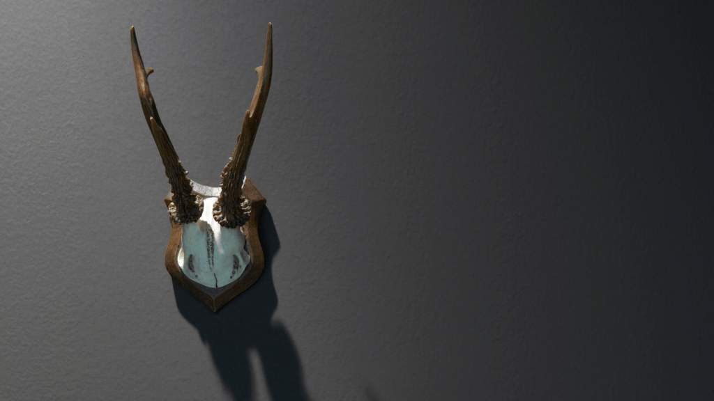 The Jackalope in Economy Class by Elizabeth Hart Bergstrom – Okay Donkey