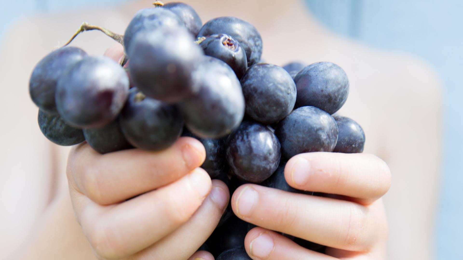 Haibun for a Day in the Life of a Hikikomori by Jemma Leigh Roe – Okay ...