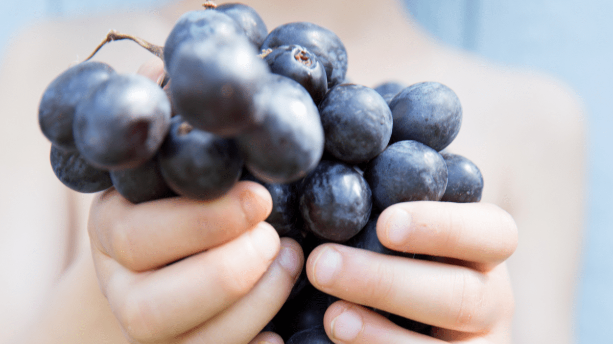 Haibun for a Day in the Life of a Hikikomori by Jemma Leigh Roe – Okay ...