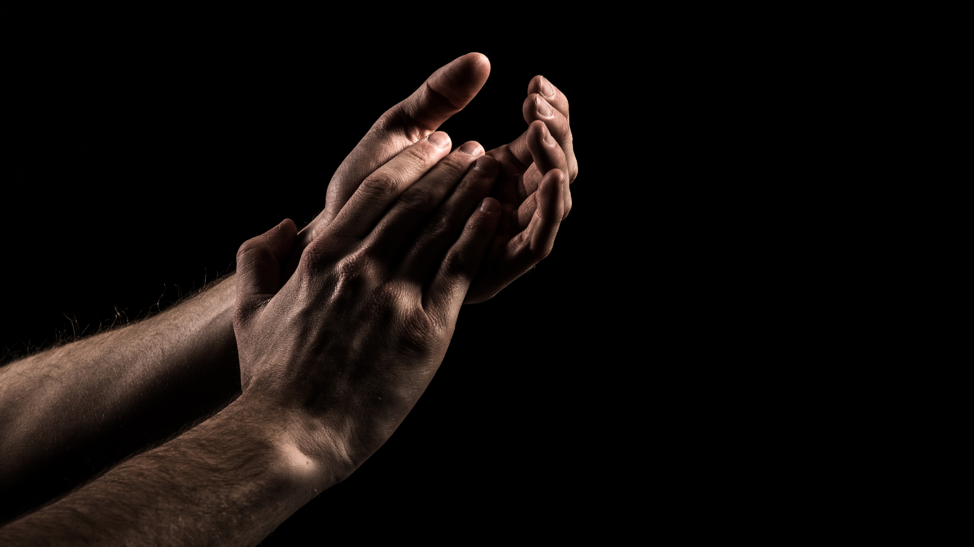 A Poem in Which I Avoid My Guilt by Mike Bagwell – Okay Donkey