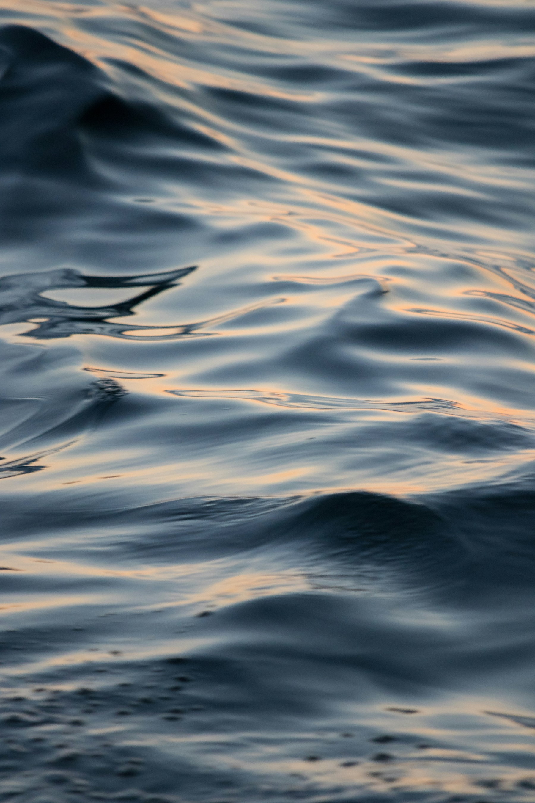 Quack by Julliette Holliday – Okay Donkey